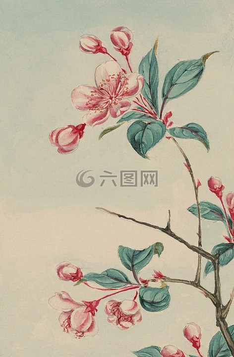 白描观音图片素材-免费可商用-高清下载-快剪辑