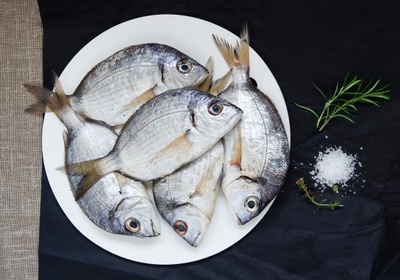 白鲢鱼图片素材-免费可商用-高清下载-快剪辑